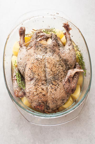 Roasted duck with apples + how to roast a whole duck