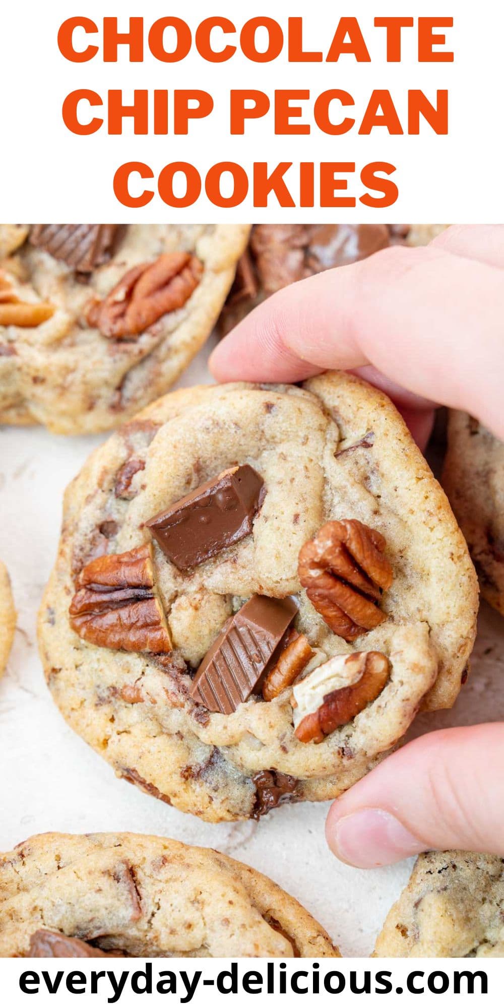 Chocolate Chip Pecan Cookies (video) - Everyday Delicious