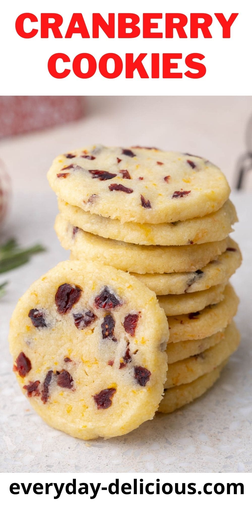 Cranberry Shortbread Cookies (easy slice and bake cookies) + video