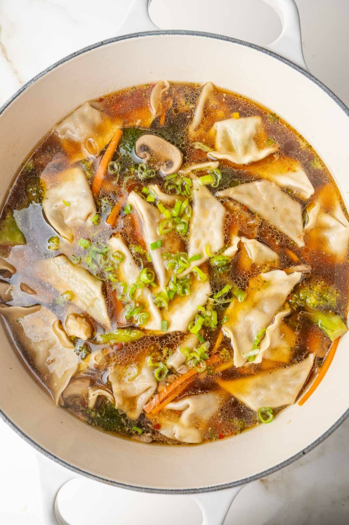 Potsticker Soup - Everyday Delicious