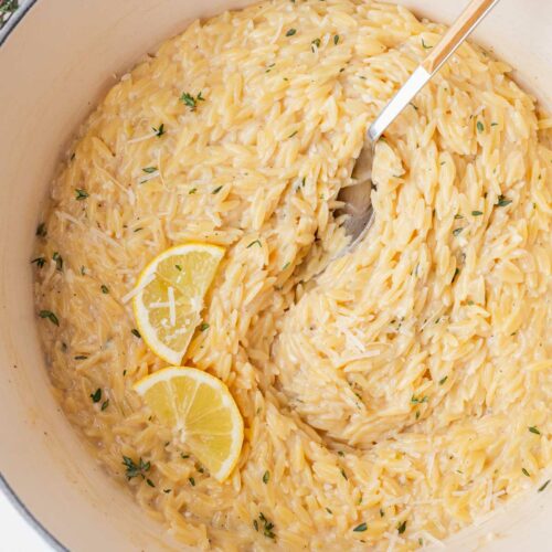 Lemon Parmesan Orzo (Orzo Side Dish) - Everyday Delicious