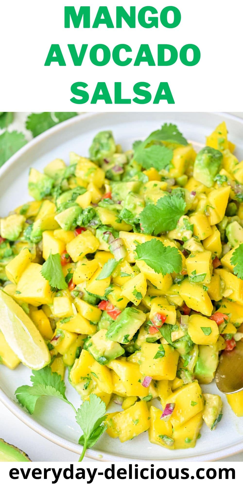 Mango Avocado Salsa Everyday Delicious