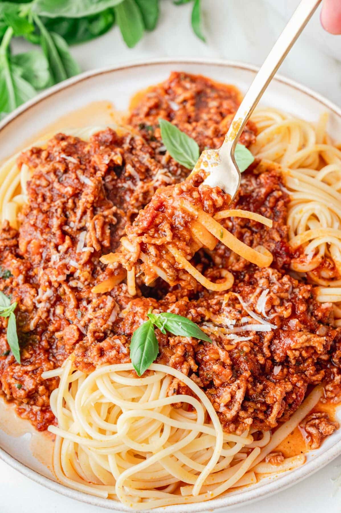The BEST Spaghetti Meat Sauce - Everyday Delicious