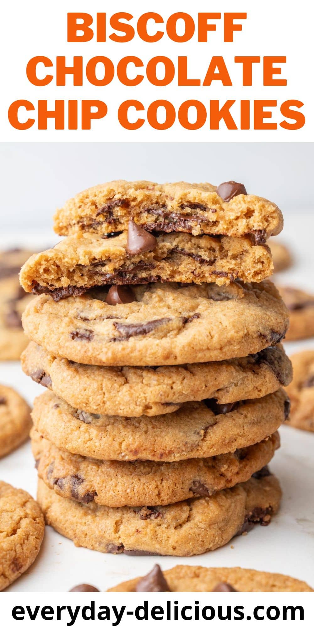 Biscoff Chocolate Chip Cookies - Everyday Delicious
