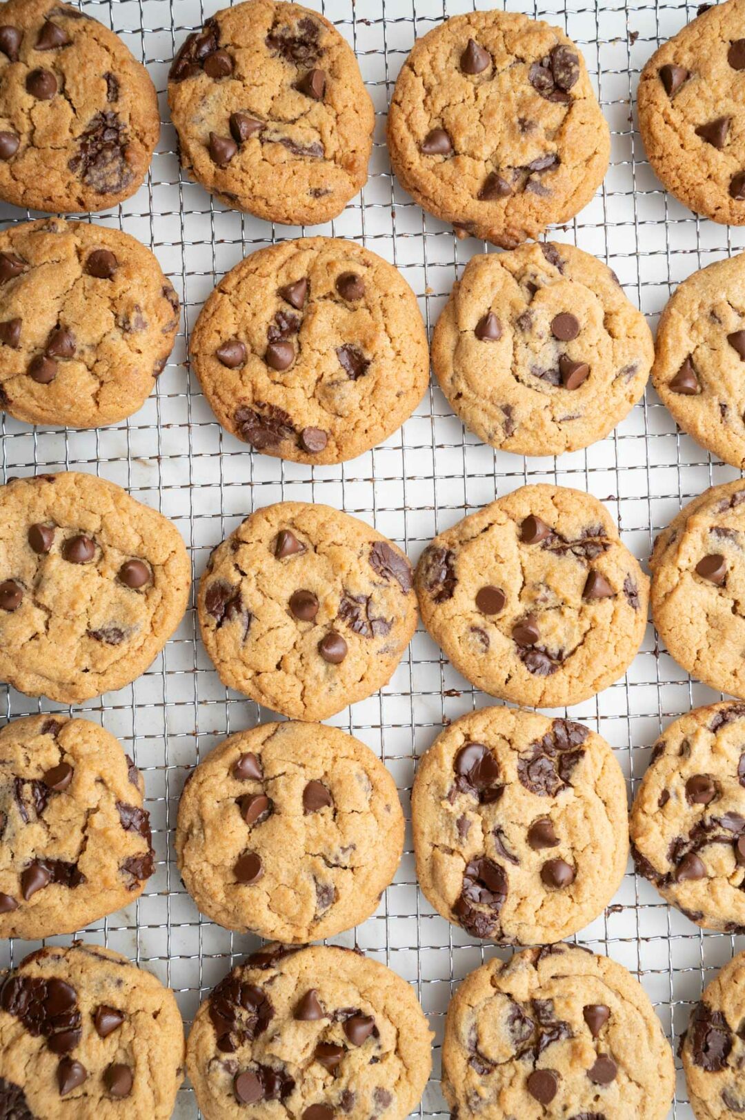 Biscoff Chocolate Chip Cookies - Everyday Delicious